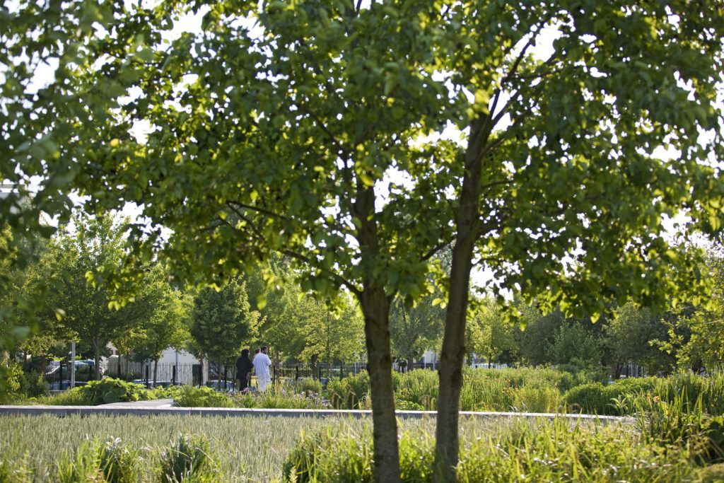 Parc du Chemin de l'Ile - Nanterre • Mutabilis - Paysage & Urbanisme